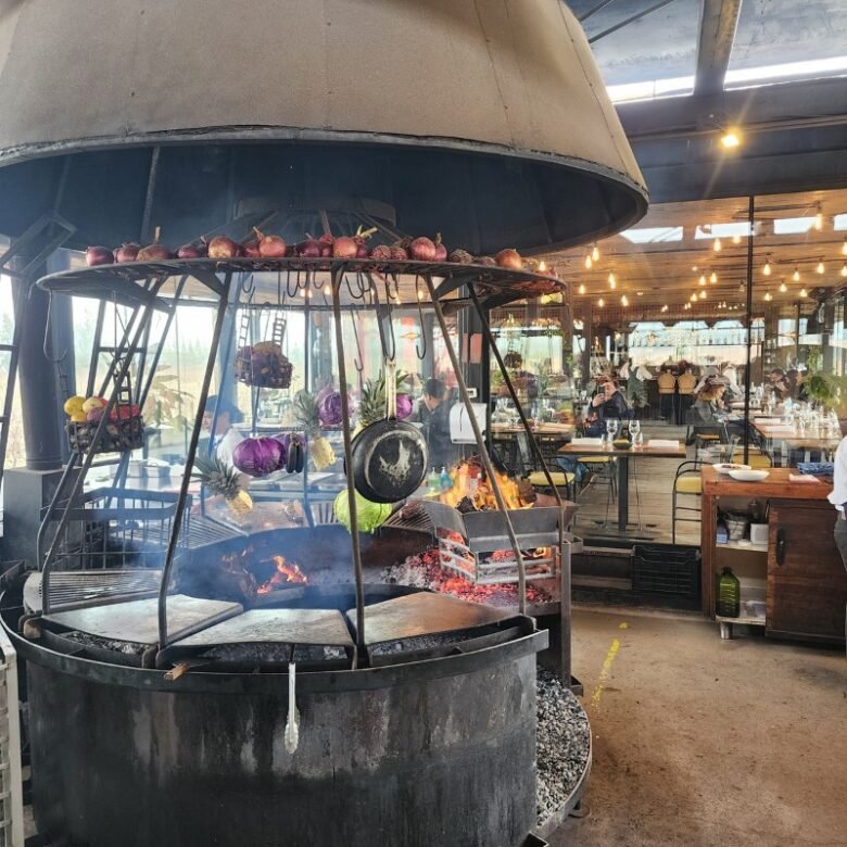 VIK & Montes Wine Tours With Lunch At Fuegos De Apalta | Chile