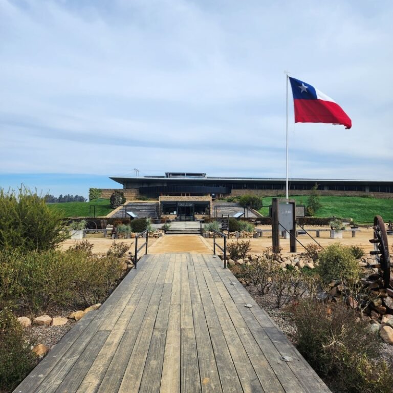 Montes Winery | Iconic Wine Tastings In Apalta Chile