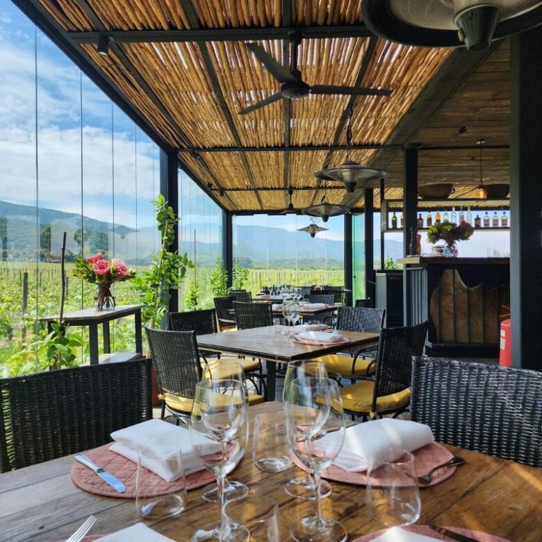 Clos Apalta Winery | Organic Wine Tastings In Apalta Valley, Chile